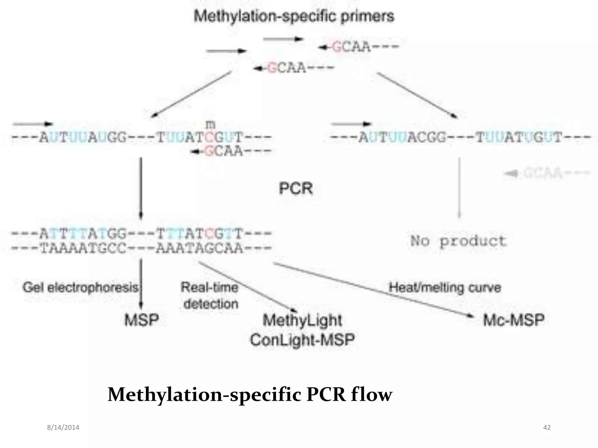 Different pcr techniques and their application | PPTX