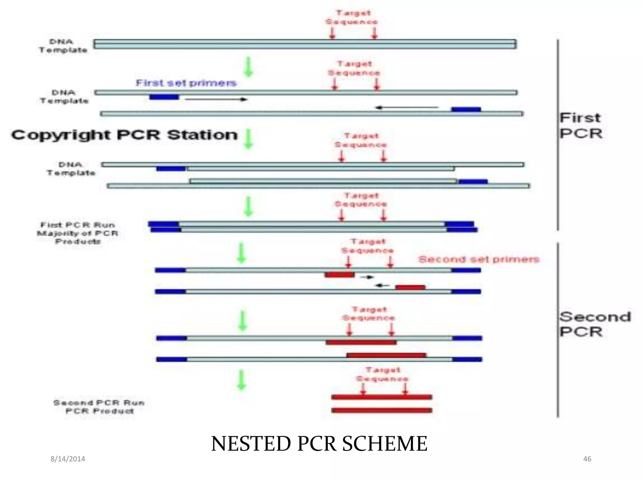Different pcr techniques and their application | PPTX