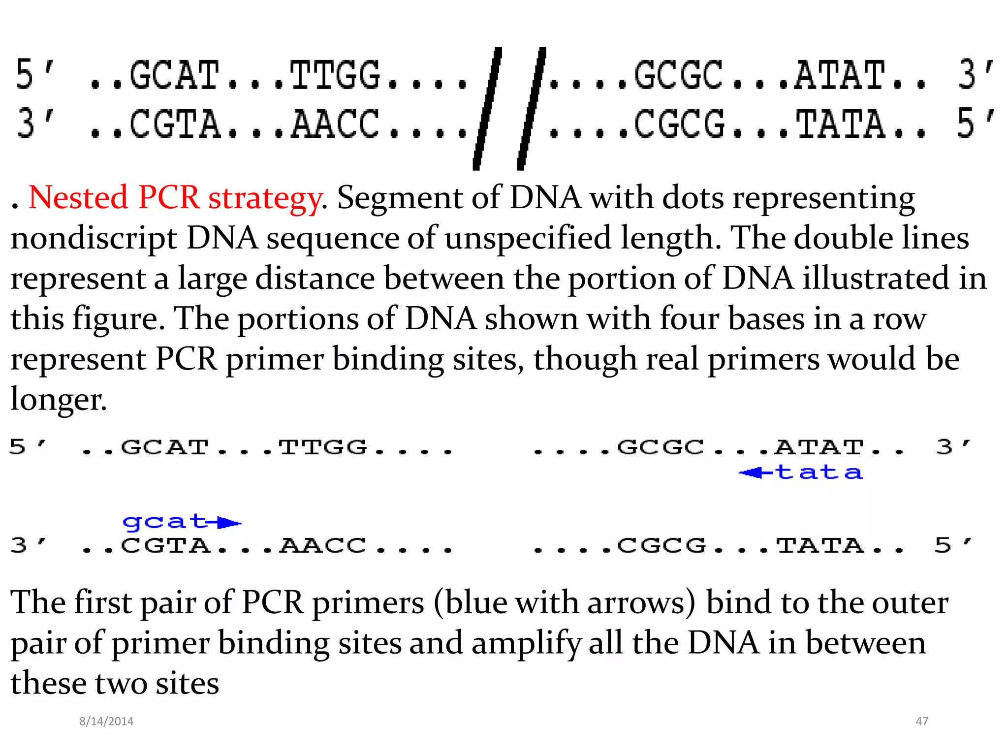 Different pcr techniques and their application | PPTX