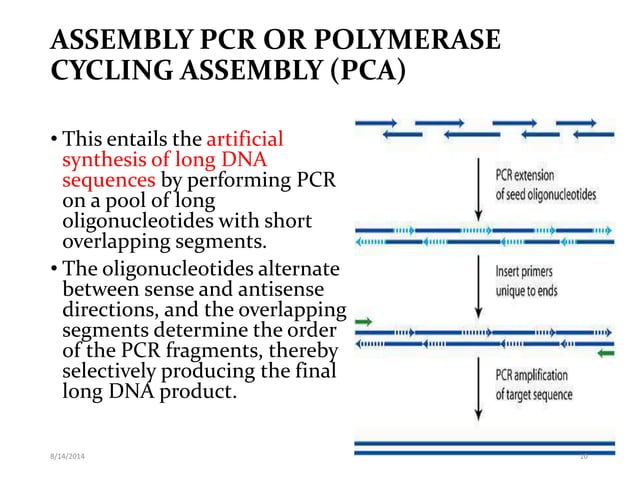 Different pcr techniques and their application | PPTX