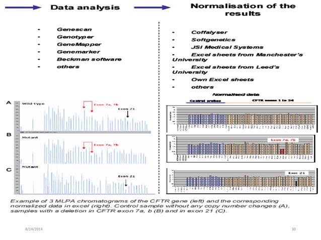 Different pcr techniques and their application | PPTX
