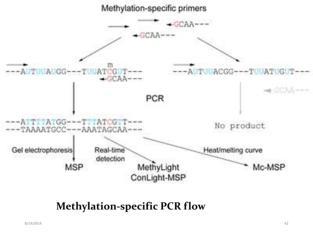 Different pcr techniques and their application | PPTX