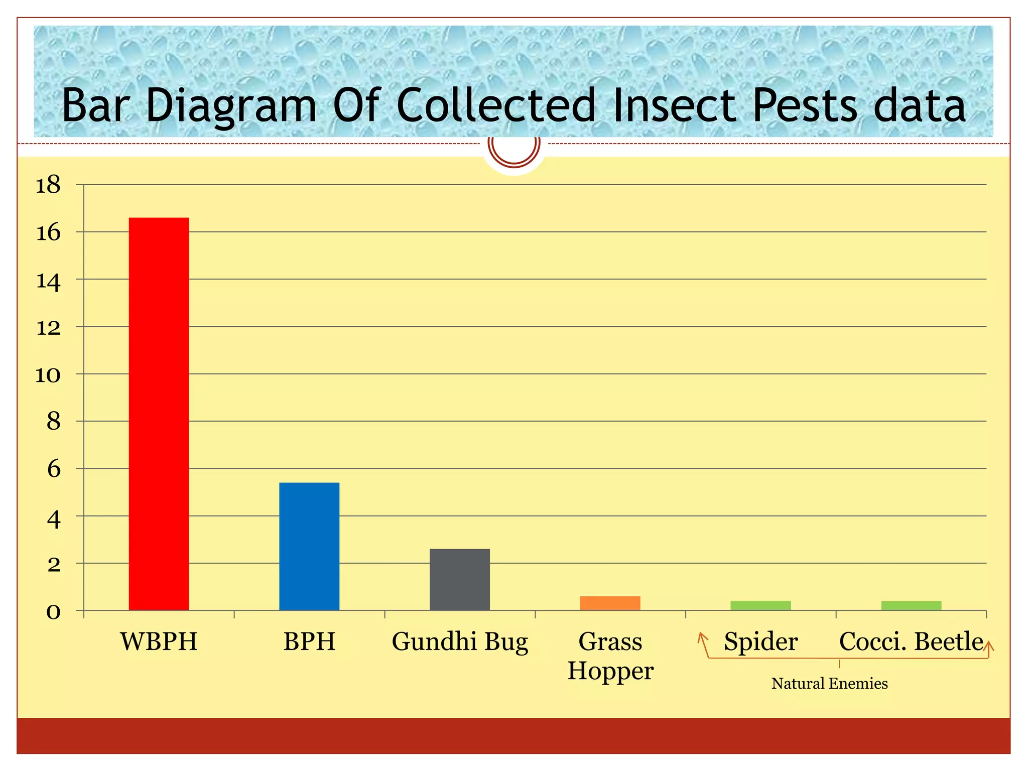 Different pests of rice in field.. | PPTX