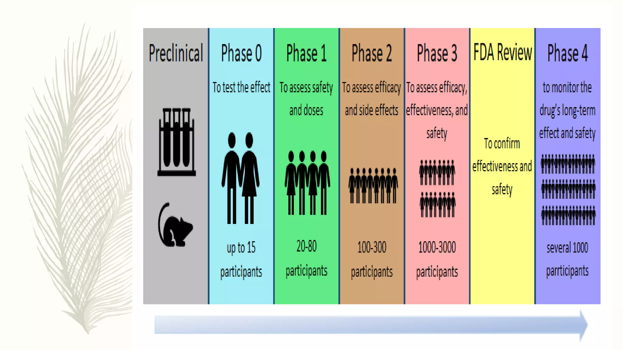 Different phases of clinical trials | PPTX
