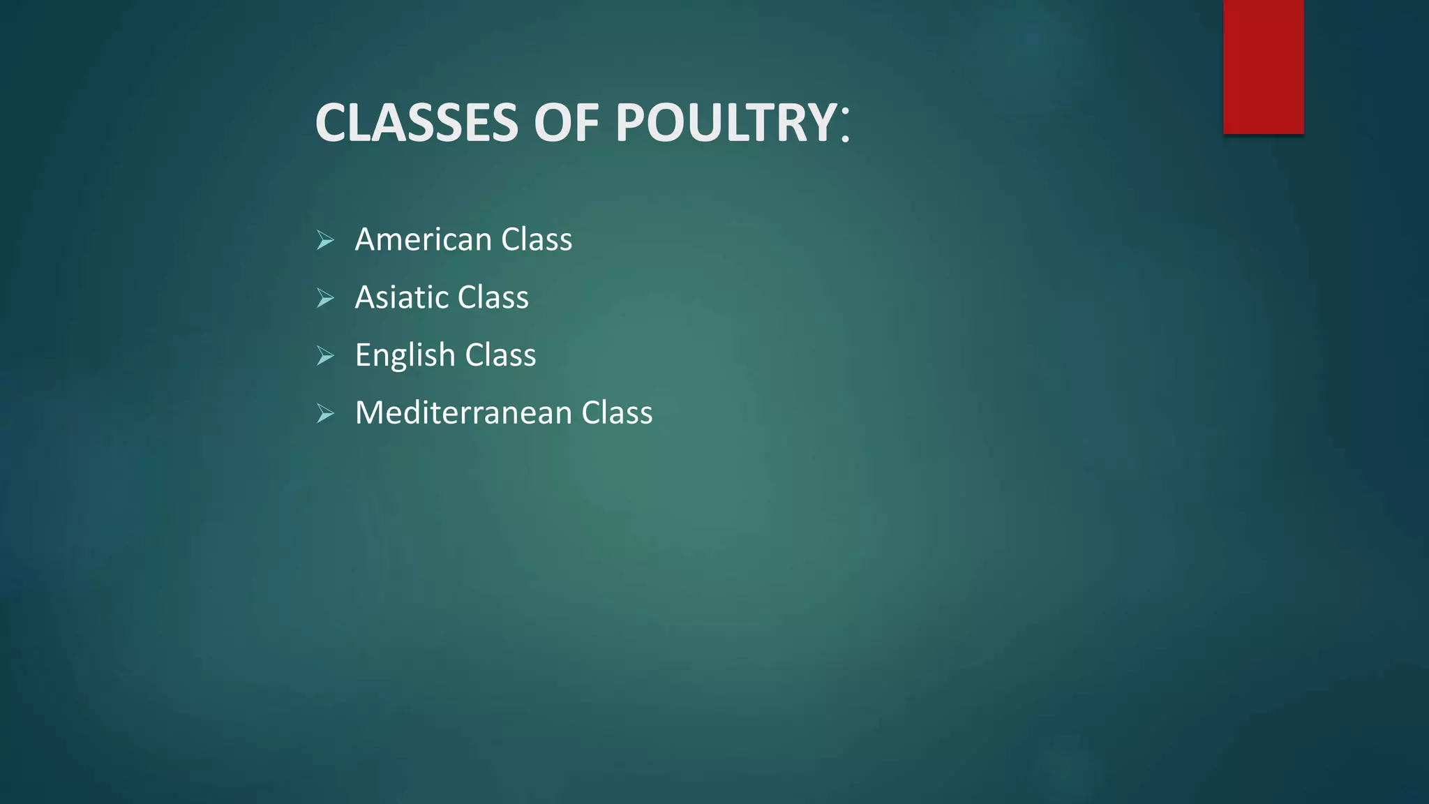 Different poultry breeds | PPTX