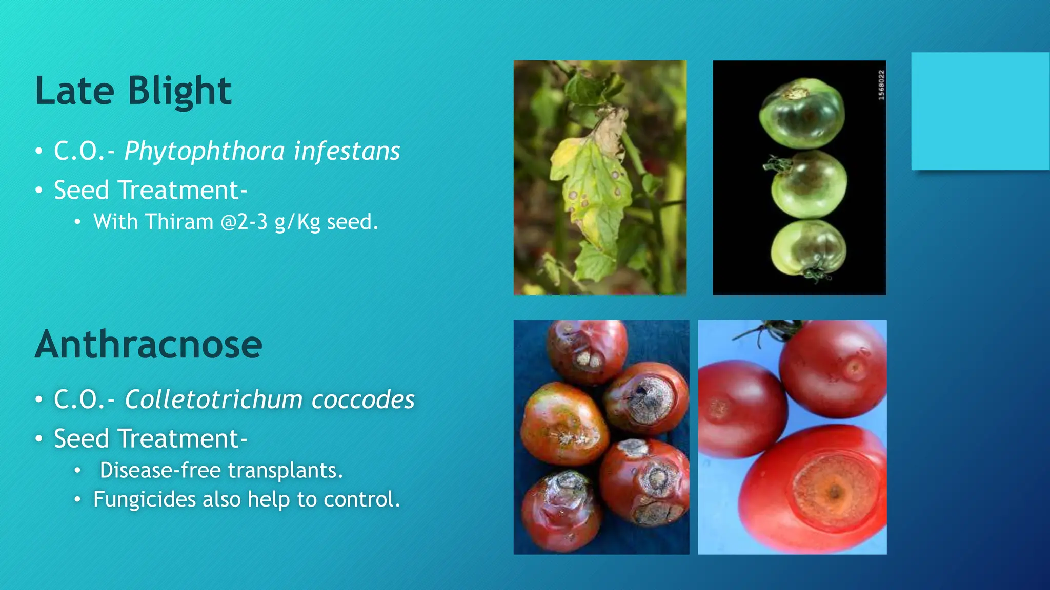DIFFERENT SEED TREATMENT METHODS USED FOR CONTROLLING SEED BORNE ...