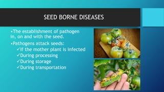 DIFFERENT SEED TREATMENT METHODS USED FOR CONTROLLING SEED BORNE ...