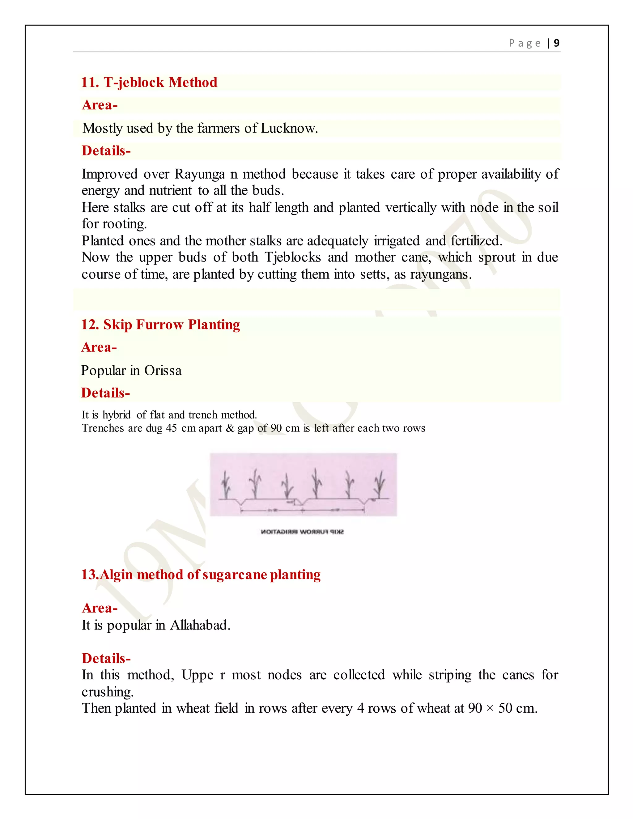 Different sowing methods of sugarcane in different region | DOCX