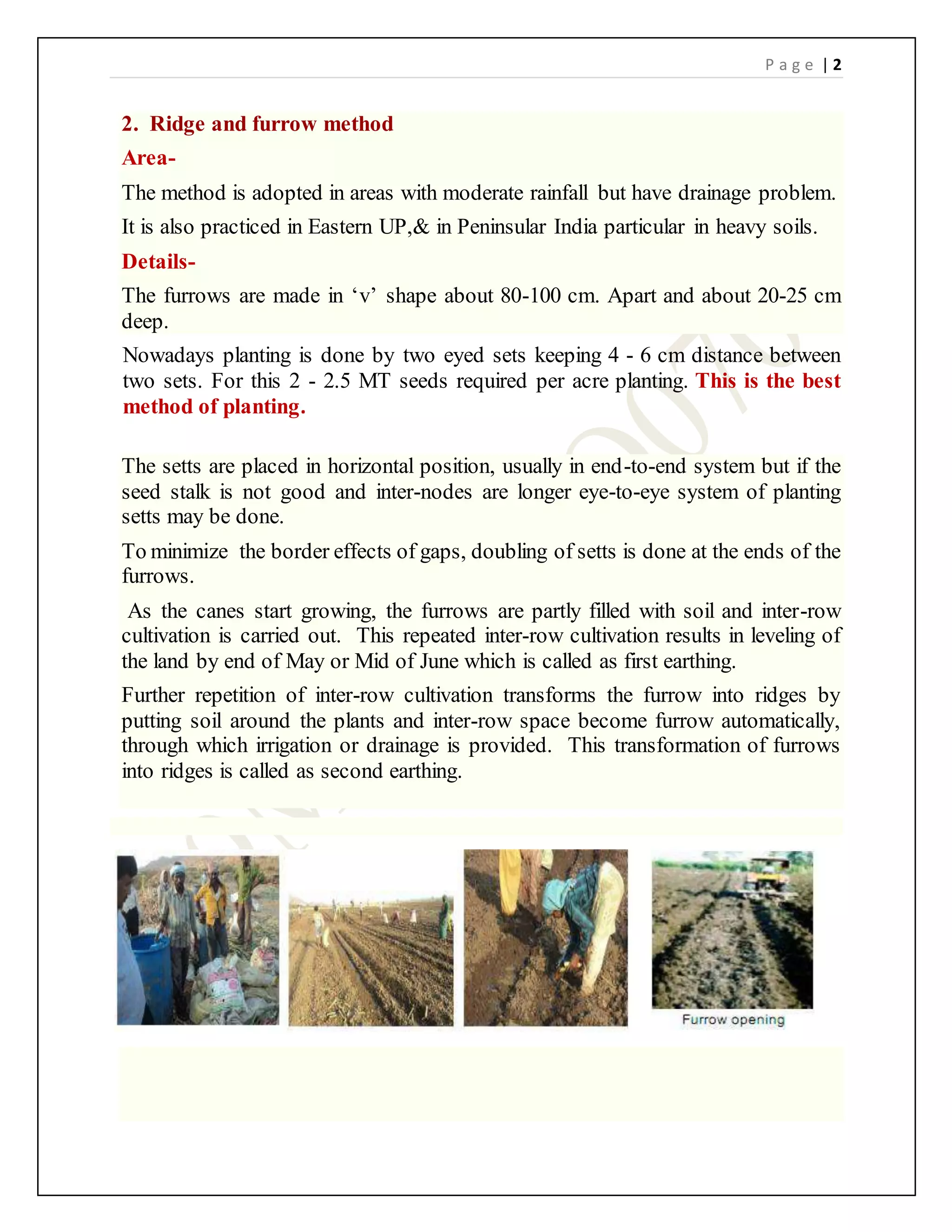 Different sowing methods of sugarcane in different region | DOCX