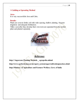 Different sowing methods of sugarcane in different region | DOCX