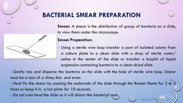 Different staining techniques in bacteriology | PPT