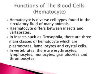 Circulatory System | PPTX