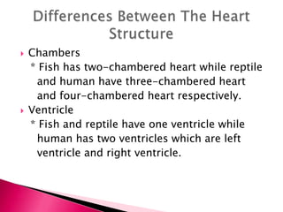 Circulatory System | PPTX
