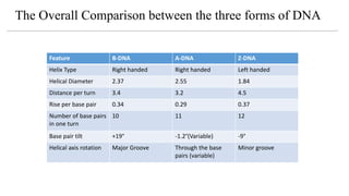 Different Forms of DNA | PPT