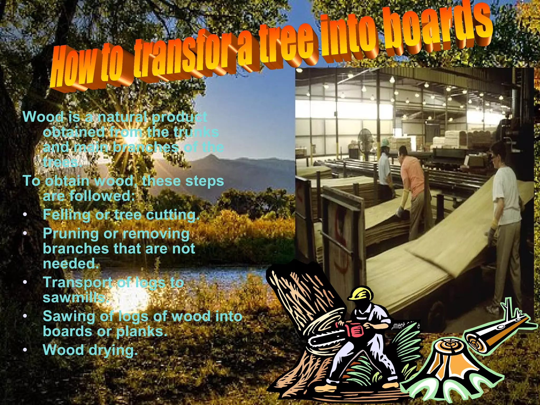 Types of wood , Tipos de Madera en INGLES (English) | PPT