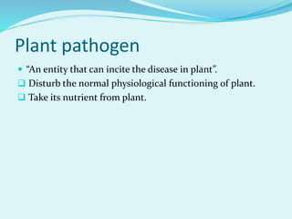 Different techniques for detection of plant pathogens. | PPTX