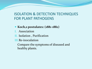 Different techniques for detection of plant pathogens. | PPTX