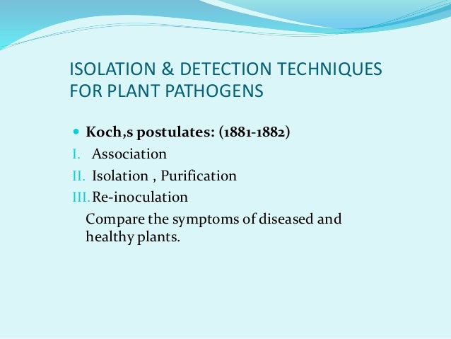 Different techniques for detection of plant pathogens.