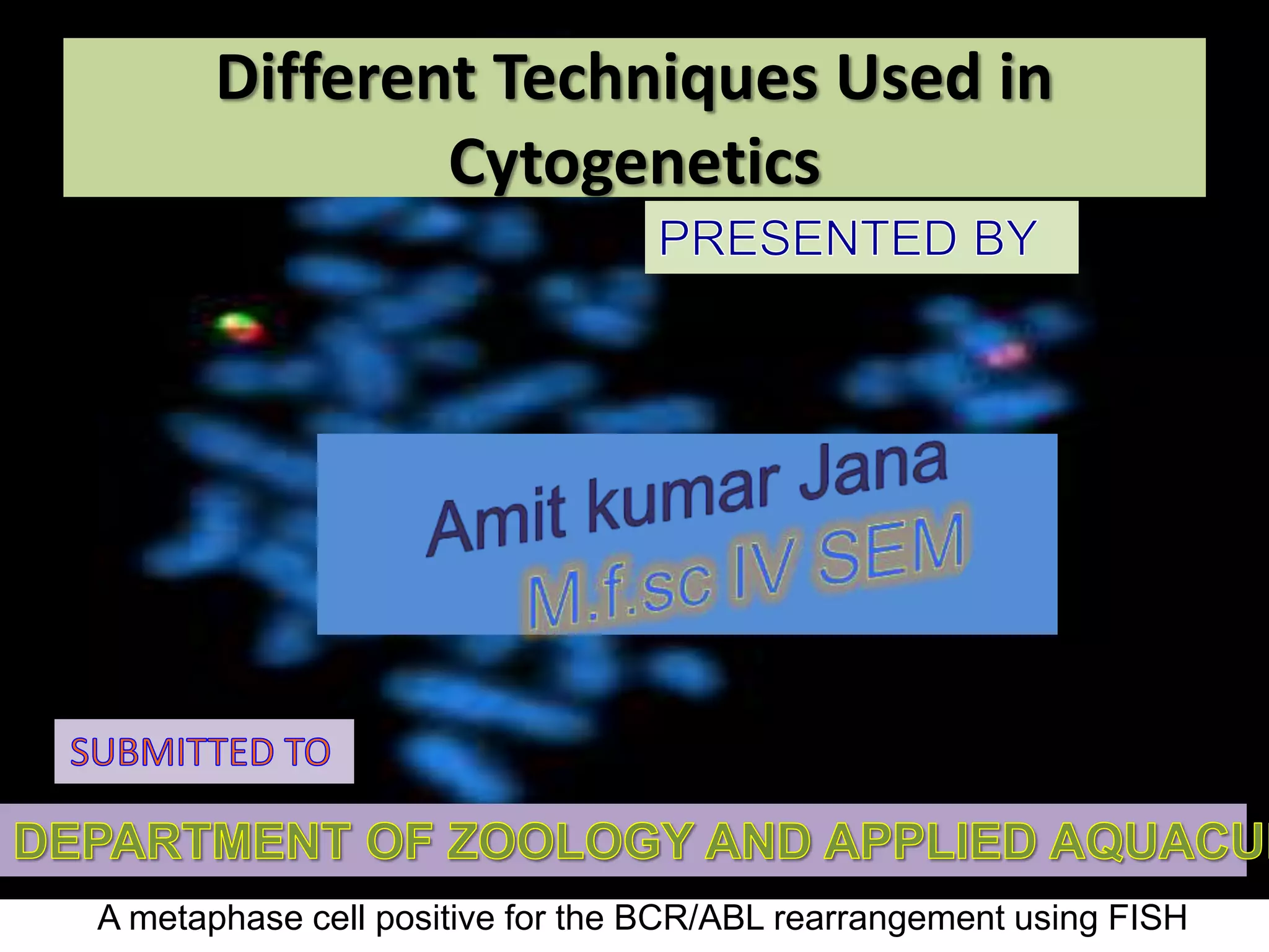 Different techniques used in cytogenetics | PPTX