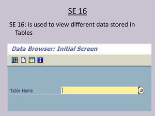 Different termininologies & transaction codes used_in_sap | PPTX
