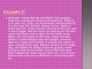 Different text types | PPTX