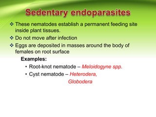 Nematode Examples