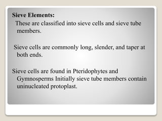 Different type of plant cell in tissue system of plant | PPTX