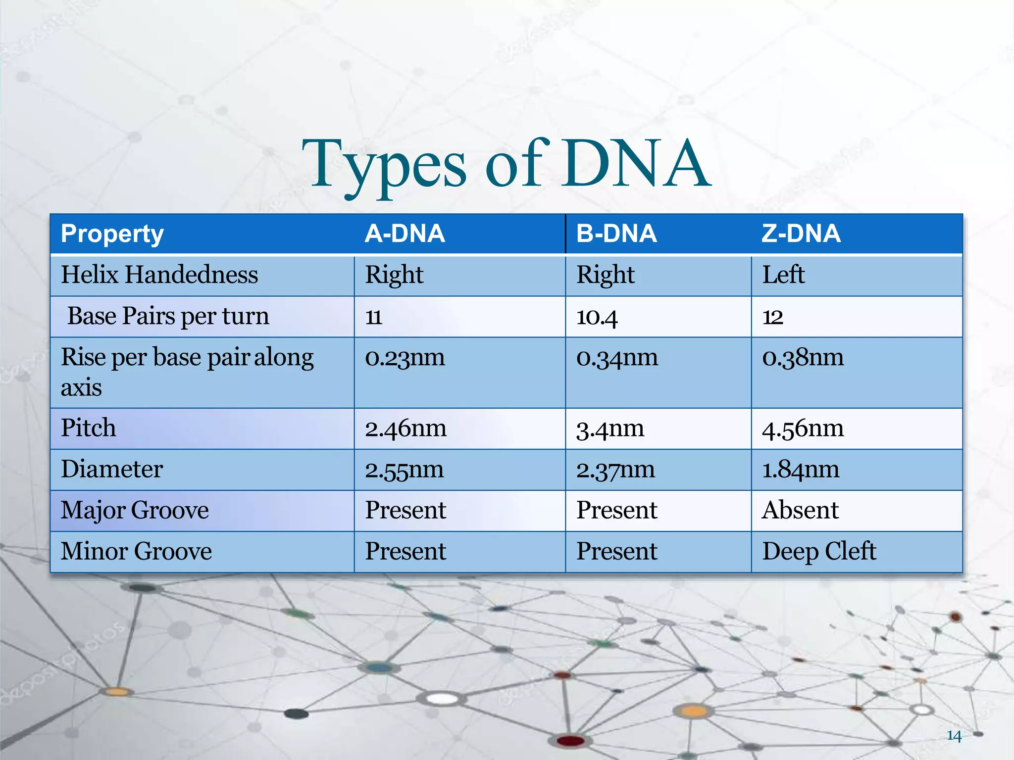 Different Types and Structure.pptx