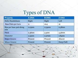 Different Types and Structure.pptx