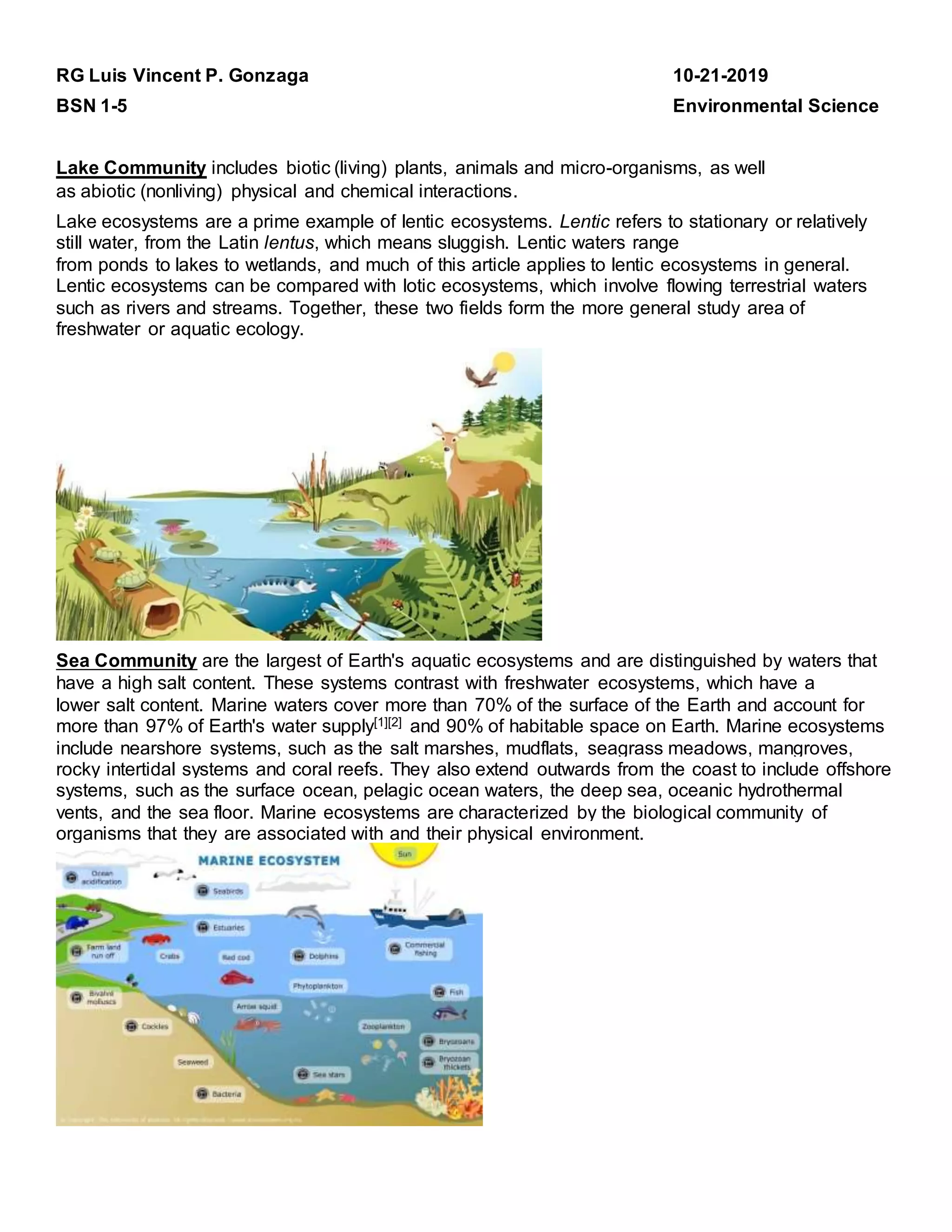Lake Community, Sea Community and the Different types of forest | DOCX