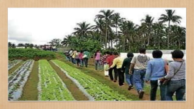 Different Types of Agri Tourism.pptx | Agriculture | Industries
