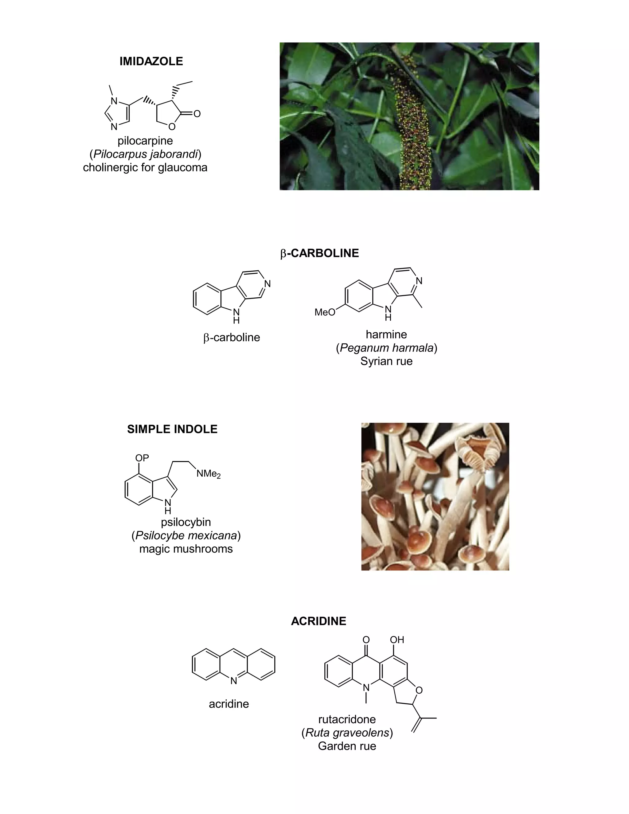ALKALOIDS.pdf