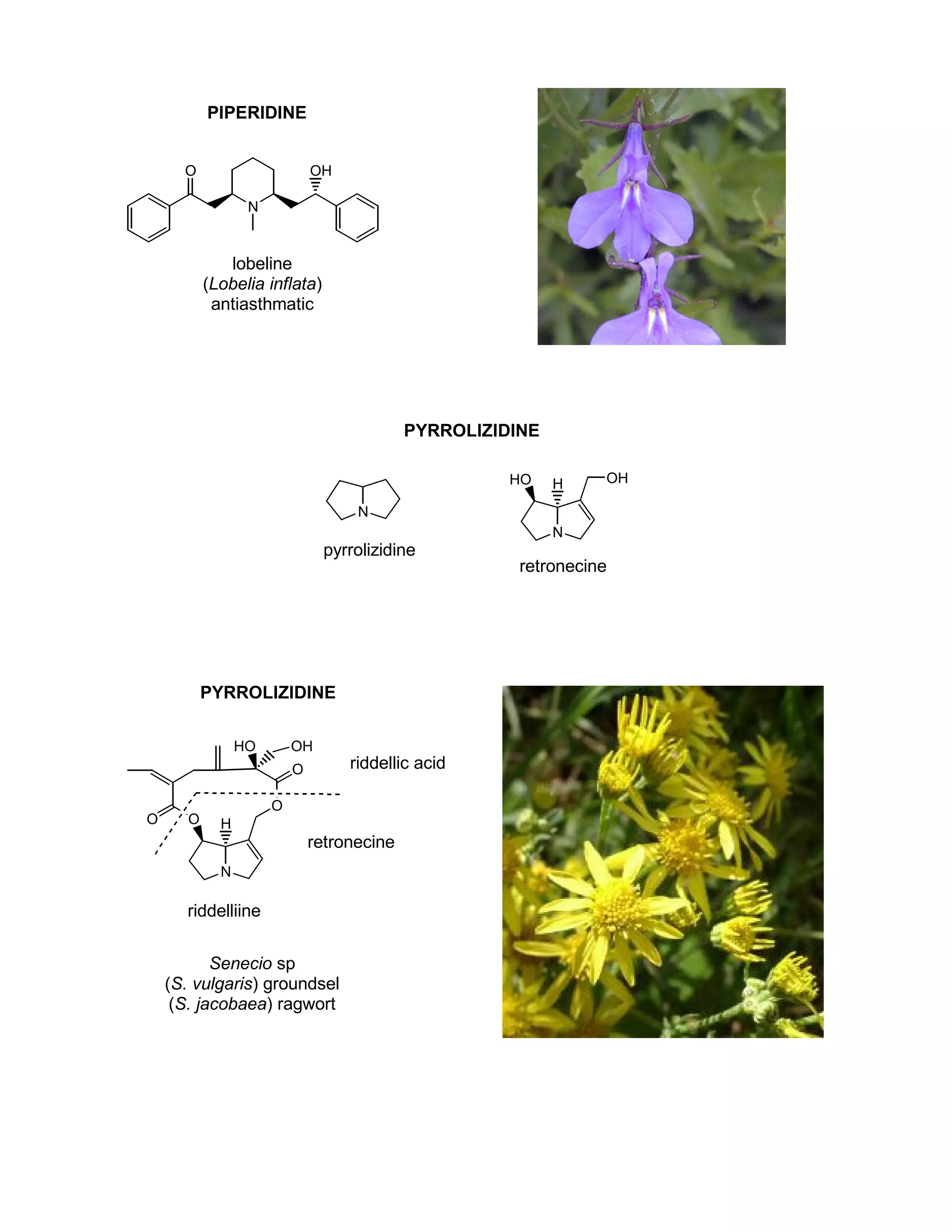 ALKALOIDS.pdf