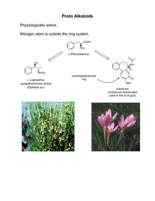 ALKALOIDS.pdf