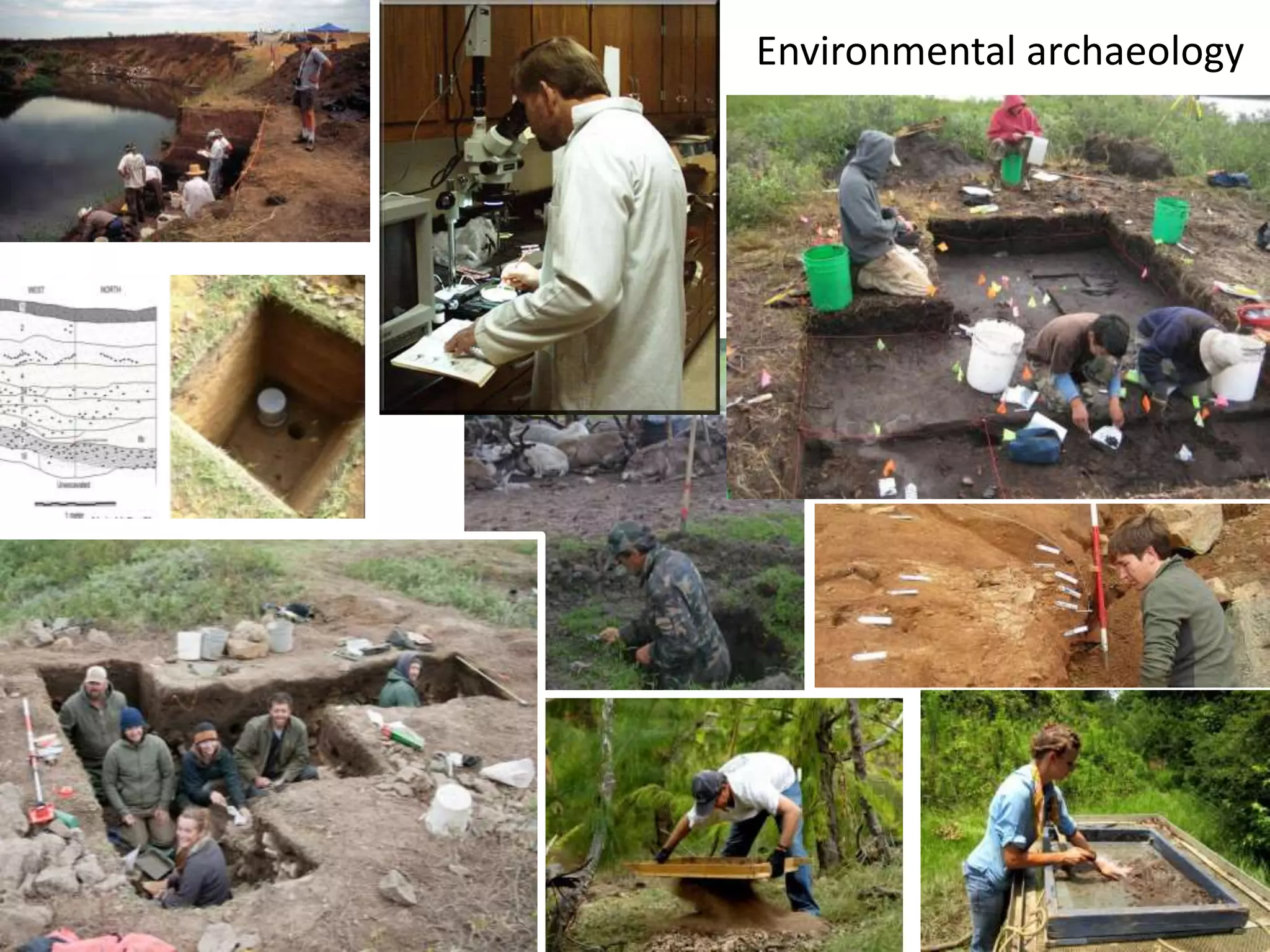 Different types of Archaeology | PPTX