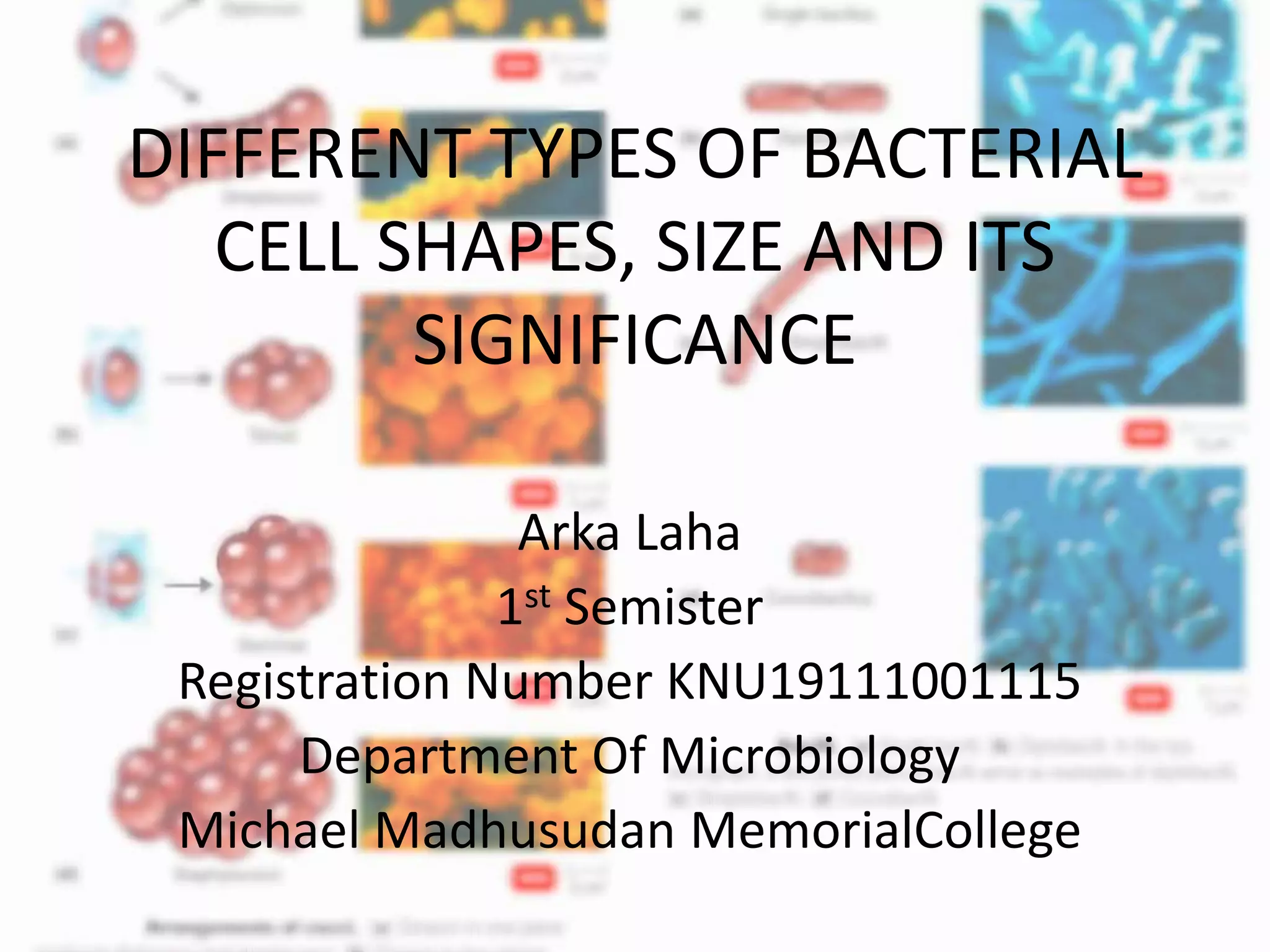 Different types of bacterial shape , cell size and its significance | PPT