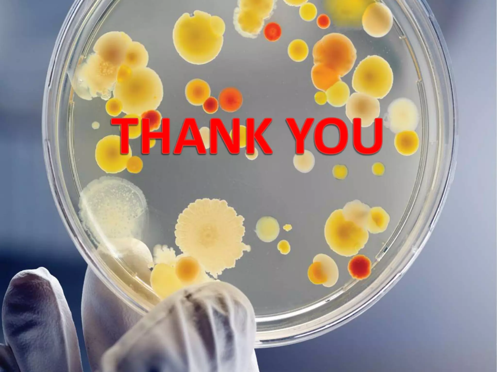 Different types of bacterial shape , cell size and its significance | PPT