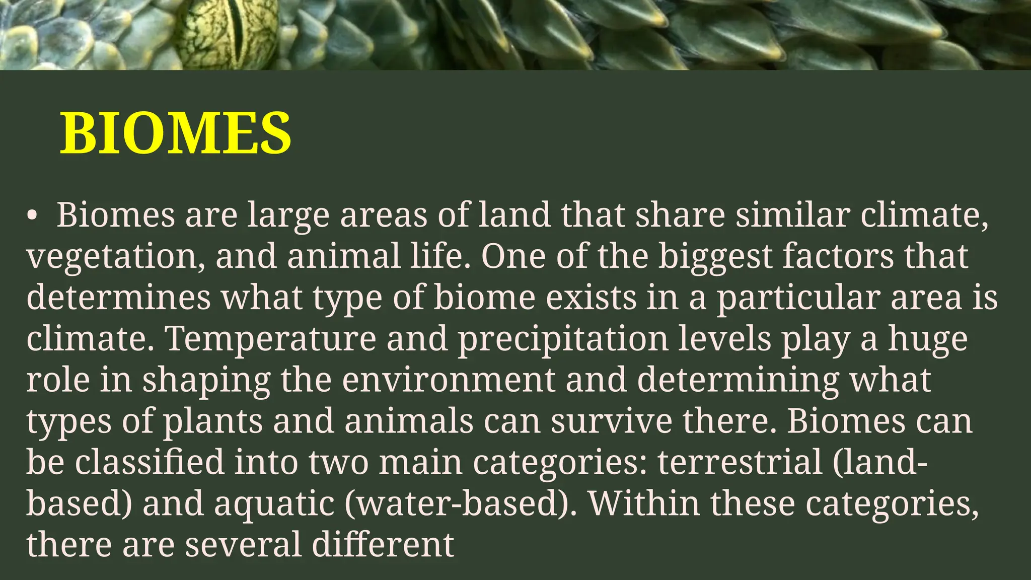 the different_types_of_biomes. in environment pptx | PPT