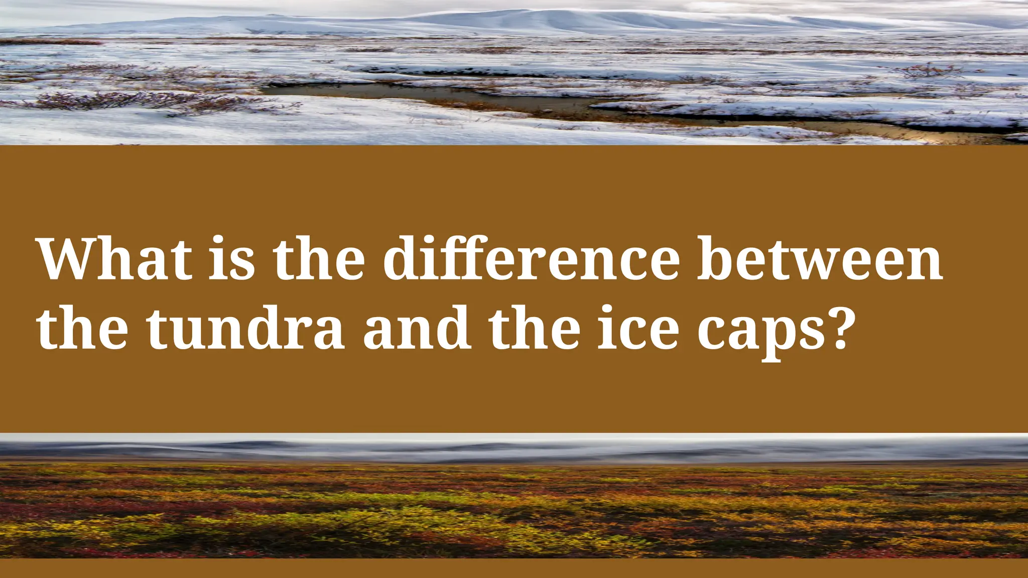 the different_types_of_biomes. in environment pptx | PPT