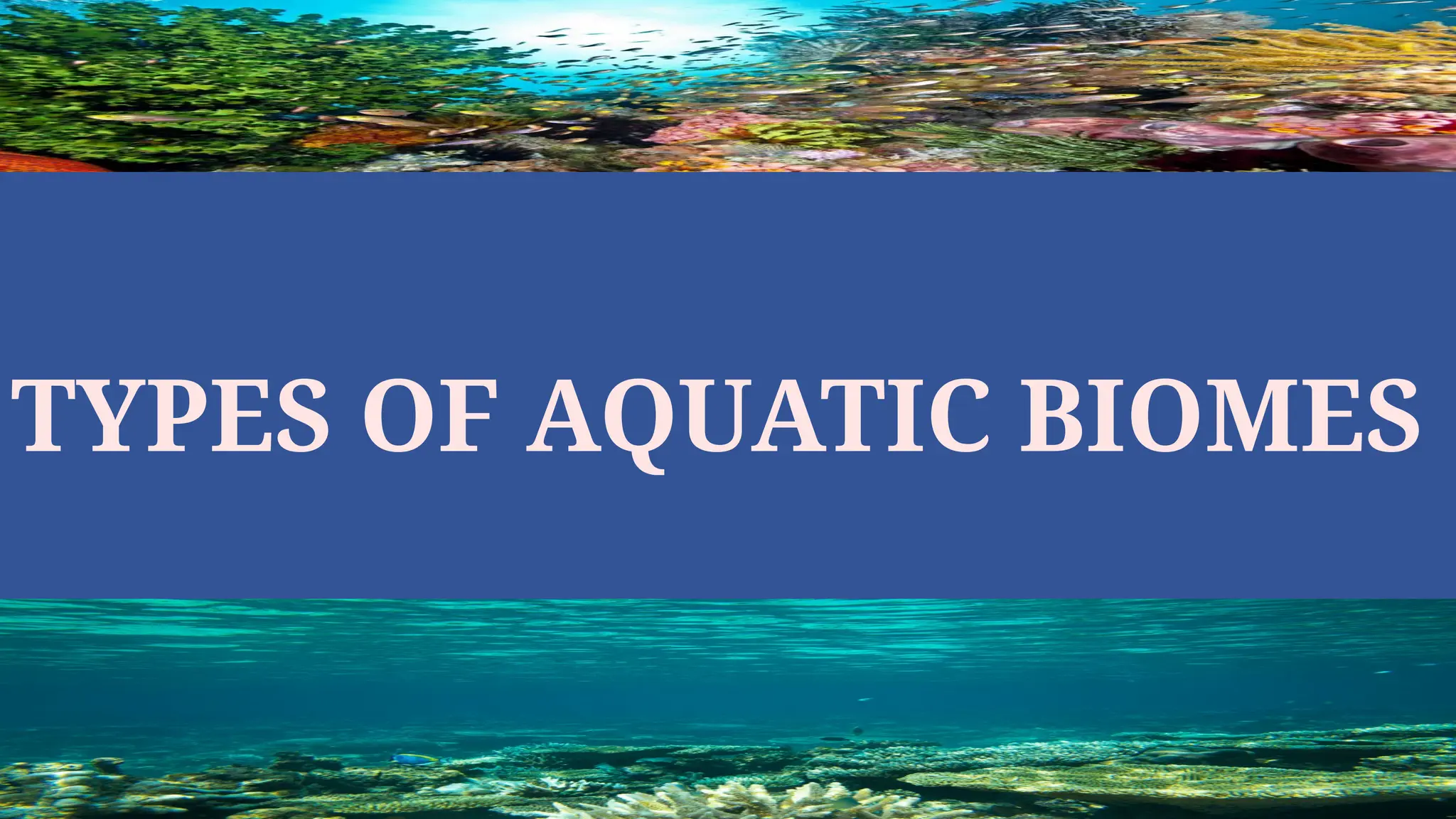 the different_types_of_biomes. in environment pptx | PPT