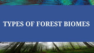 the different_types_of_biomes. in environment pptx | PPTX
