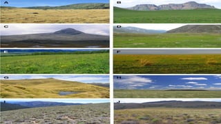 the different_types_of_biomes. in environment pptx | PPTX