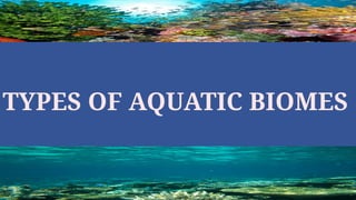 the different_types_of_biomes. in environment pptx | PPTX