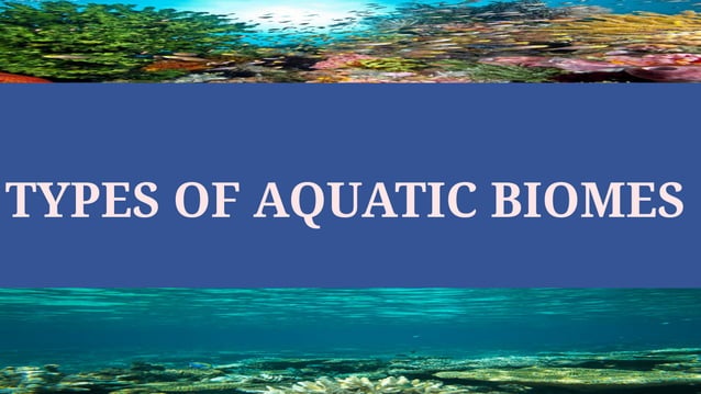 the different_types_of_biomes. in environment pptx | PPT