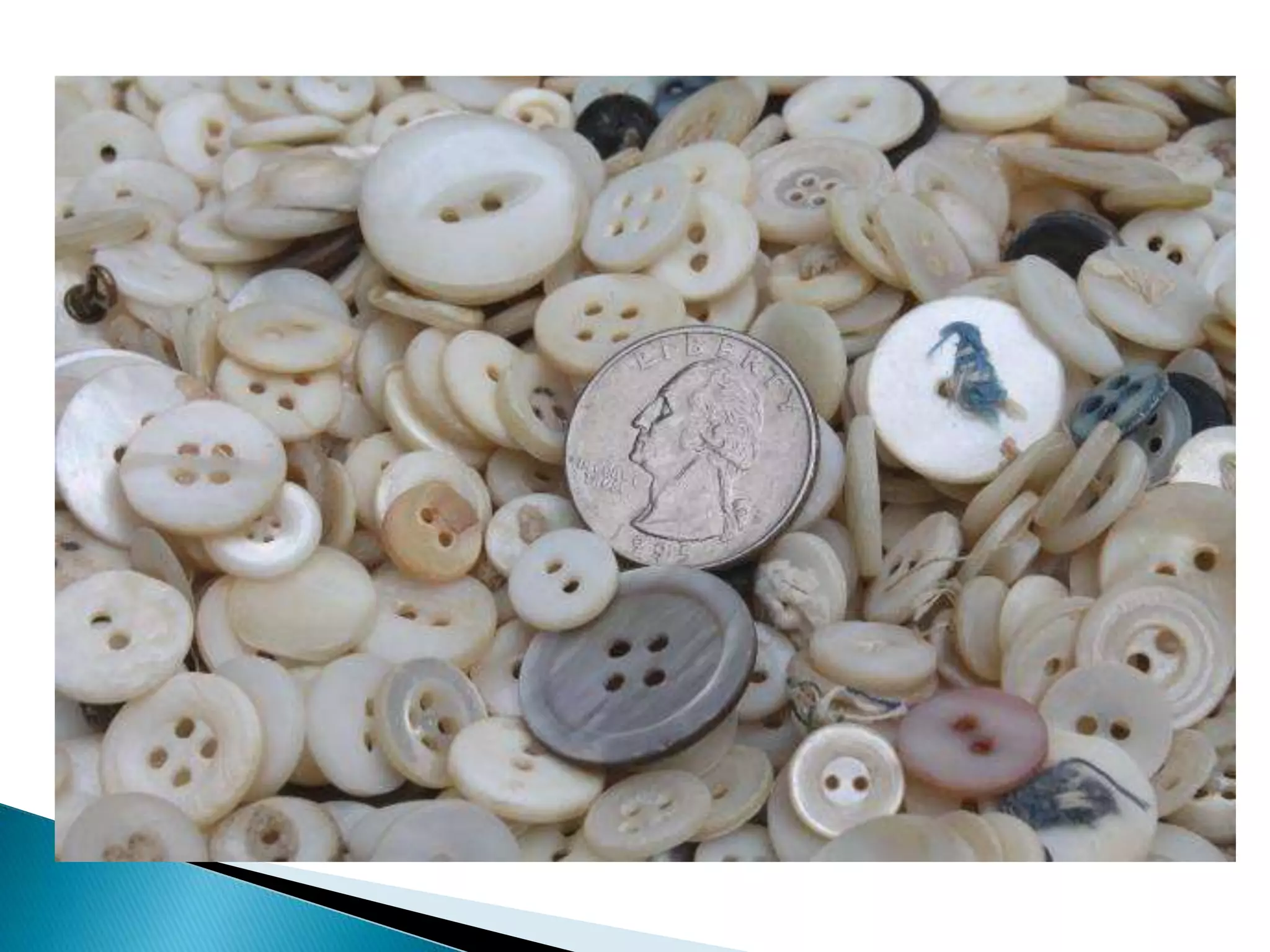 Different types of button are used in garments | PPTX