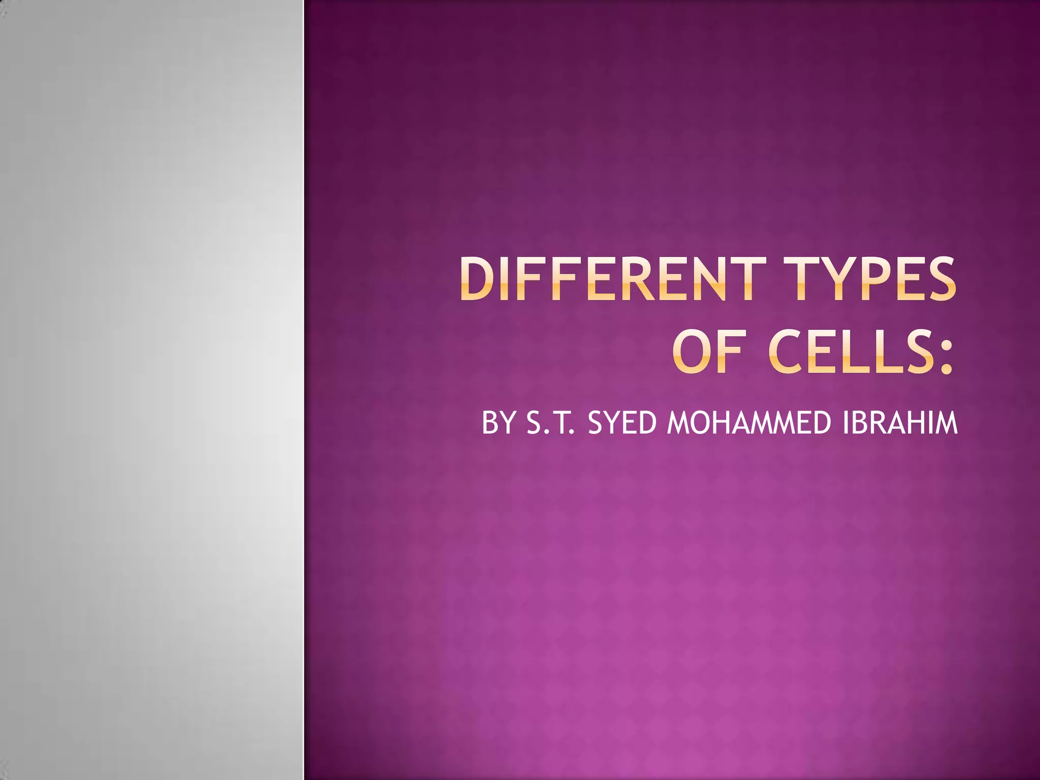 Different types of cells | PPT