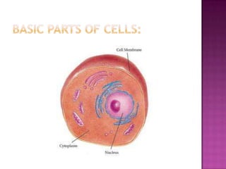 Different types of cells | PPT