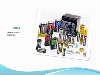 Different types of cells | PPTX
