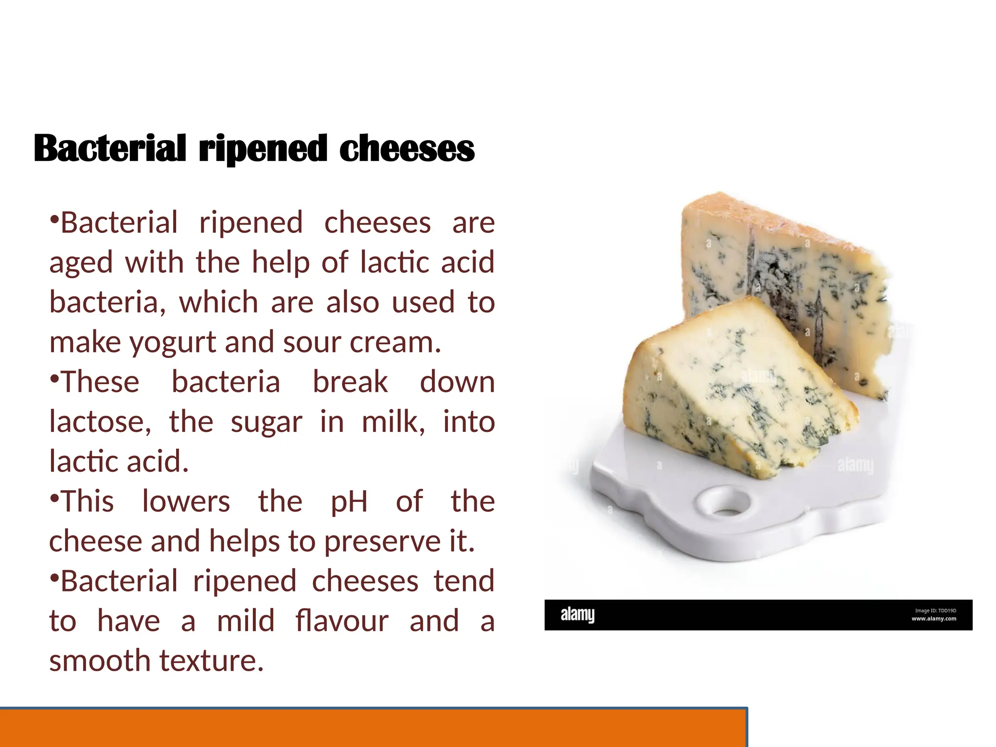 different types of bacterial and mold ripened cheese.pptx