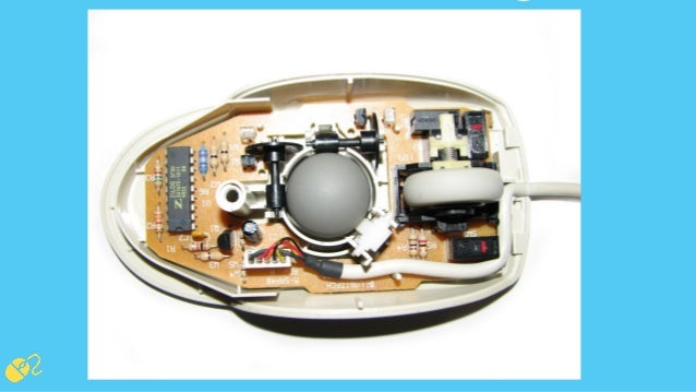 Different types of computer mouses